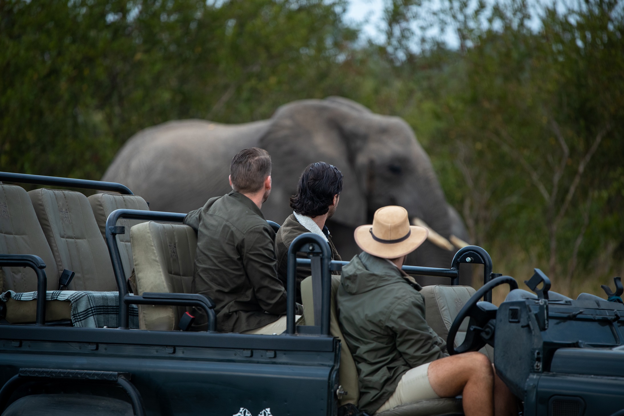 Top 8 Gay African Safaris for Your Holiday | Out2Africa Blog | Out2Africa